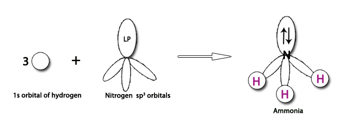 62.CHEMICAL BONDING (9)- Covalent Bonding(8)- sp3 Hybridization ...